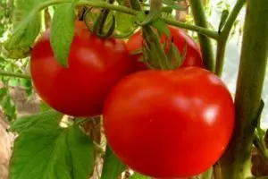 Beskriuwing Tomato Tomato broer 2 F1, groeiende en rispinge