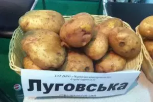 Descrizione delle patate Lugovskaya, caratteristiche di coltivazione e rendimento