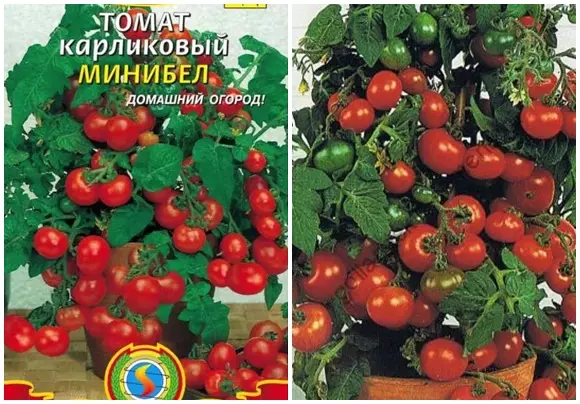Awọn irugbin tomati Minibel