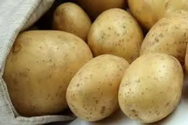 早期的土豆