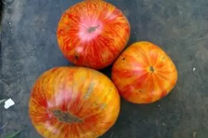 ٹماٹر کونے کی وضاحت اور خصوصیات کی خصوصیات