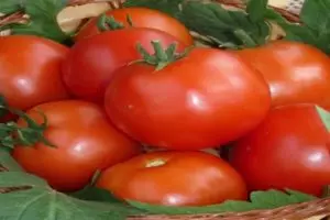 Kuvaus Tomaatti Pablo, tuotto ja viljely