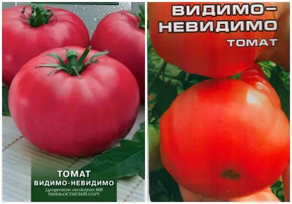 Awọn irugbin tomati n han gbangba pe alaihan