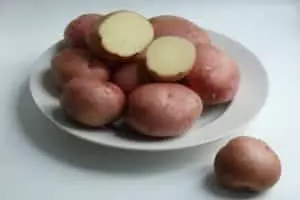 Patates çeşitlerinin tanımı Romano, büyüyen ve bakımın özellikleri