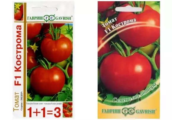 番茄kostroma种子