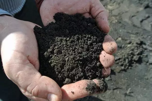 Preparation of soil