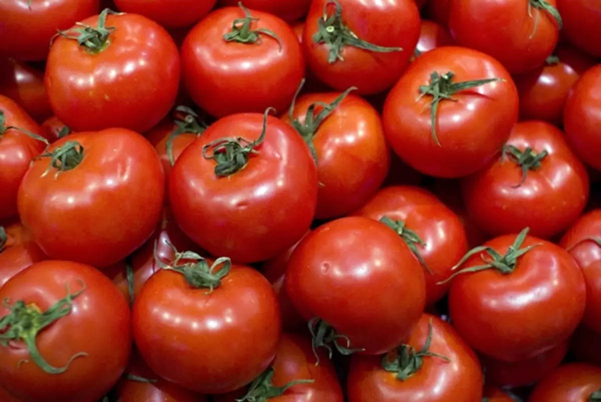 Torbay tomatoes f1 sa isang heap.
