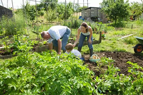 Harvesting