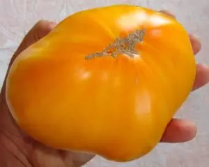 Pomidor Corol Sibirining tavsifi va tavsifi, uning hosildorligi