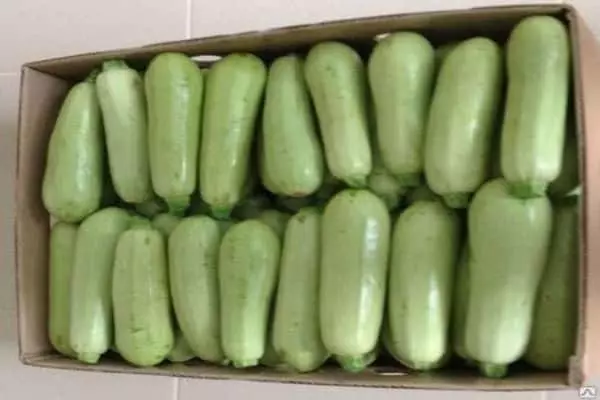 Zucchini ყუთში