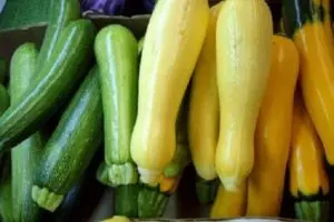 Opis stopnje Zucchini Bucchini, njihovo gojenje, pristanek in oskrbo