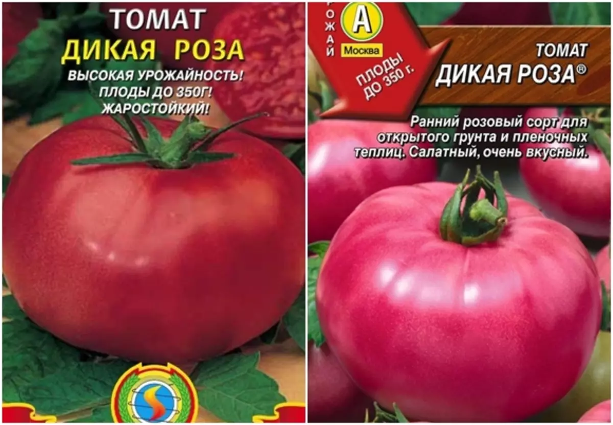 Awọn irugbin tomati egan dide