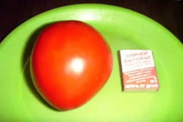 Tomato on a plate