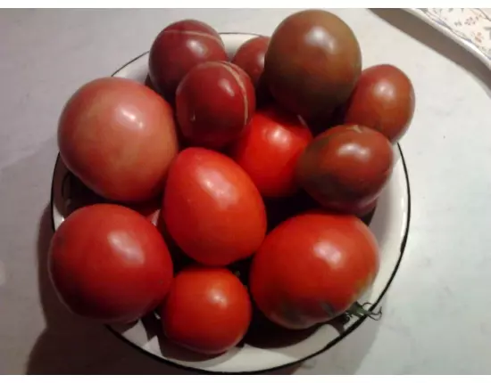 Demidov tomatoj sur telero