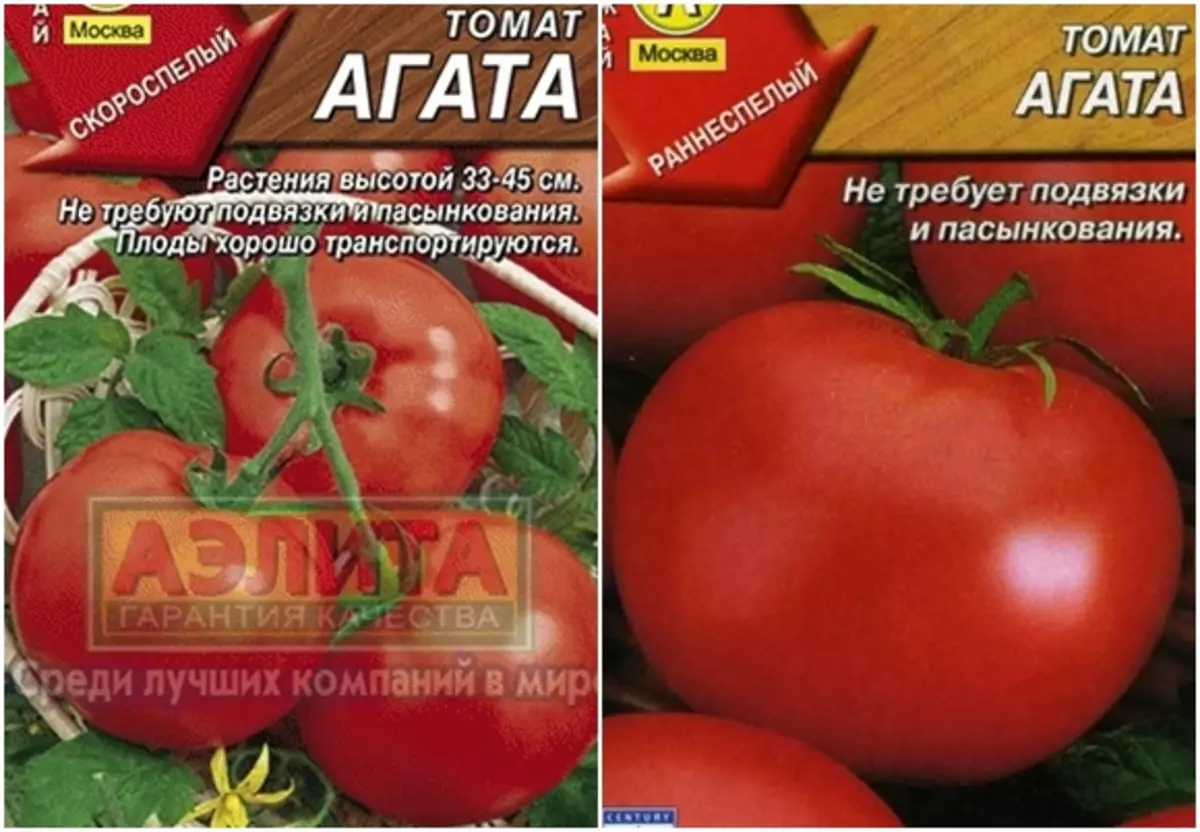 بذور الطماطم agata.