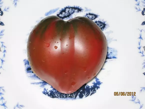 Tomato Alsu trên bàn