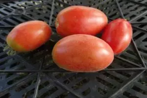 Descrição da variedade de zangão desgrenhado tomate, peculiaridades de cultivo e cuidado