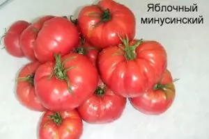 Χαρακτηριστικά και περιγραφή των καλλιεργειών των ντοματών MinusInsky