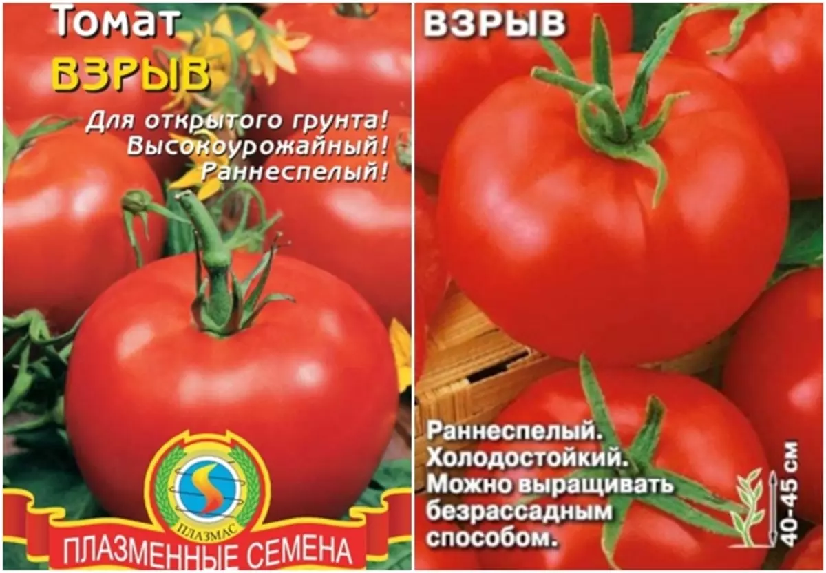 Pomidor tohumlary partlama
