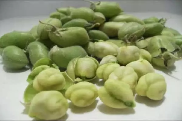 Ba Barani Pea