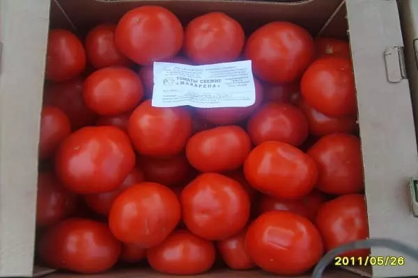 Kreskantaj tomatoj