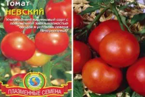 Opis różnych pomidorów Nevsky, jego charakterystyki i opieki