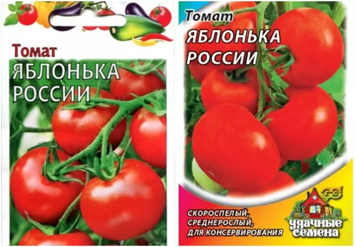 Pomidorų Jablonka.