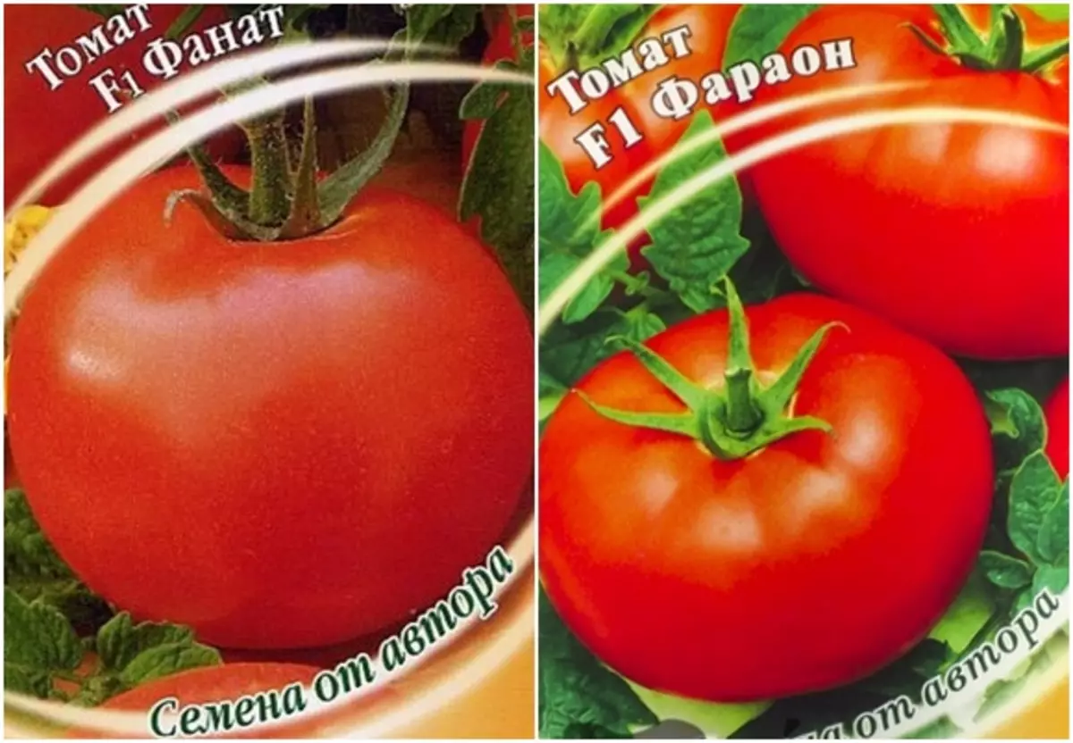 Pomidor urug'lari fir'avn f1