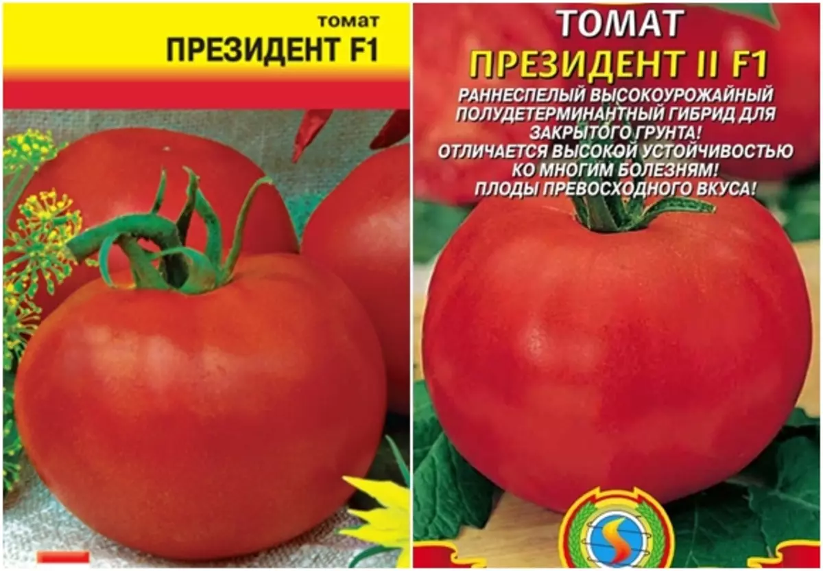 Pomidorų prezidento sėklos
