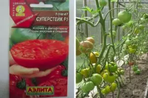 Popis rajčatové rajčatové rajče a jeho výnos a kultivace
