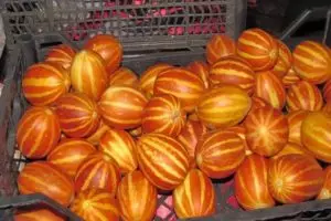 Deskripsyon nan Vyetnamyen melon, ap grandi ak karakteristik swen
