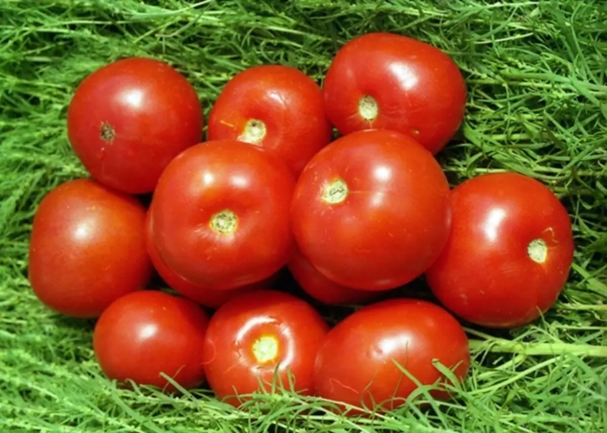 Volgotograd tomato na ahihia