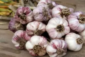 Deskripsi berbagai bawang putih dobrynya, kekhasan budidaya dan perawatan
