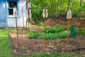 چگونه یک سیستم آبیاری قطره ای را در یک گلخانه و خاک باز با دست خود بسازیم