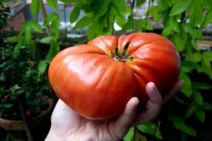 Descrierea tomatei Berdy mare mare și caracteristicile sale