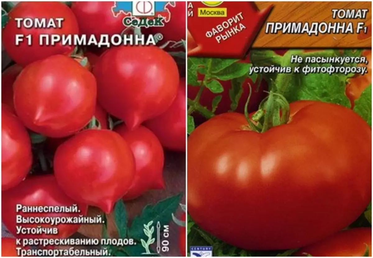 የቲማቲም ዘሮች በ partatonnony Tomato ዘሮች