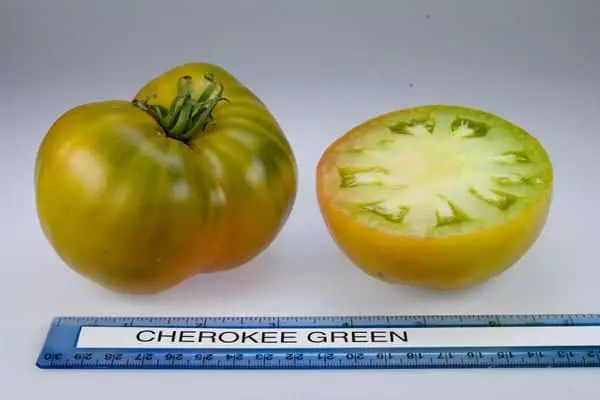 Tomato Messung