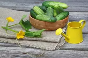 Mga kanais-nais na araw para sa planting cucumber sa kalendaryong lunar noong Mayo 2021