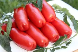 Beskrivelse af sorten af ​​en lav tomatbrænde og dets egenskaber