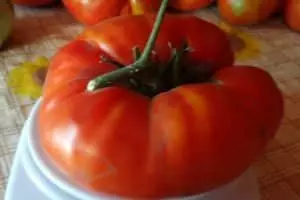 Pomidor marşal qələbəsinin müxtəlifliyinin təsviri və onun məhsuldarlığı