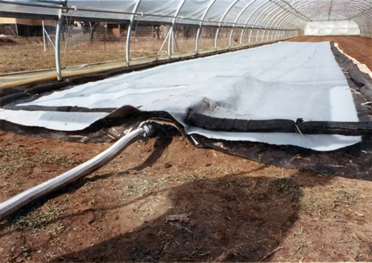 Steam steaming sa greenhouse.