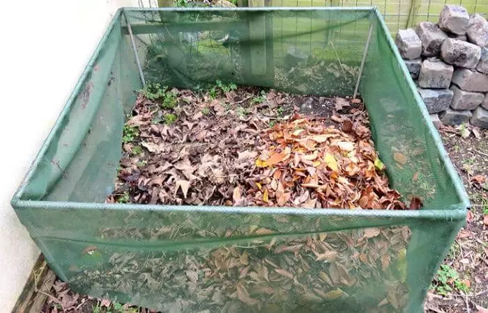 Πλέγμα με φύλλα