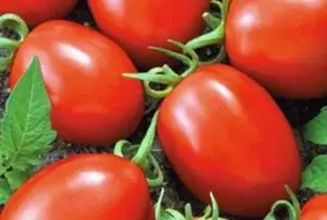 Matador tomato a'i nodweddion