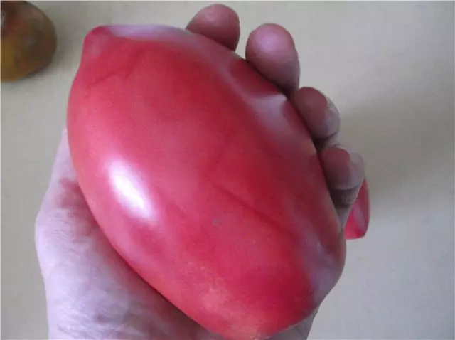 ہاتھ میں ٹماٹر