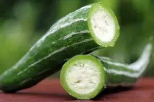 Features of growing Armenian cucumber, its description, landing and care