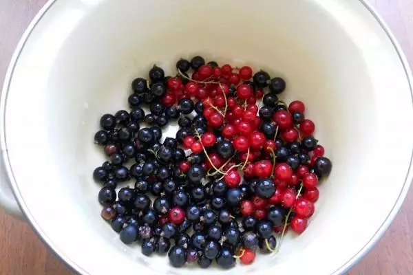 विविध berries
