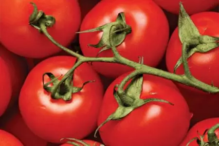 Pomidor hezil