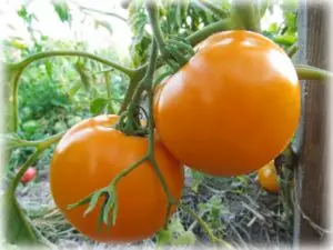 Karakteriza kaj priskribo de tomato tomato monaĥejo Trapez, ĝia rendimento