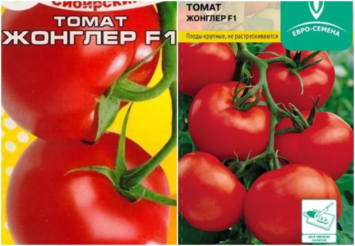 Pomidorų juggeris F1.