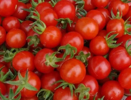Tomato ĉerizo.